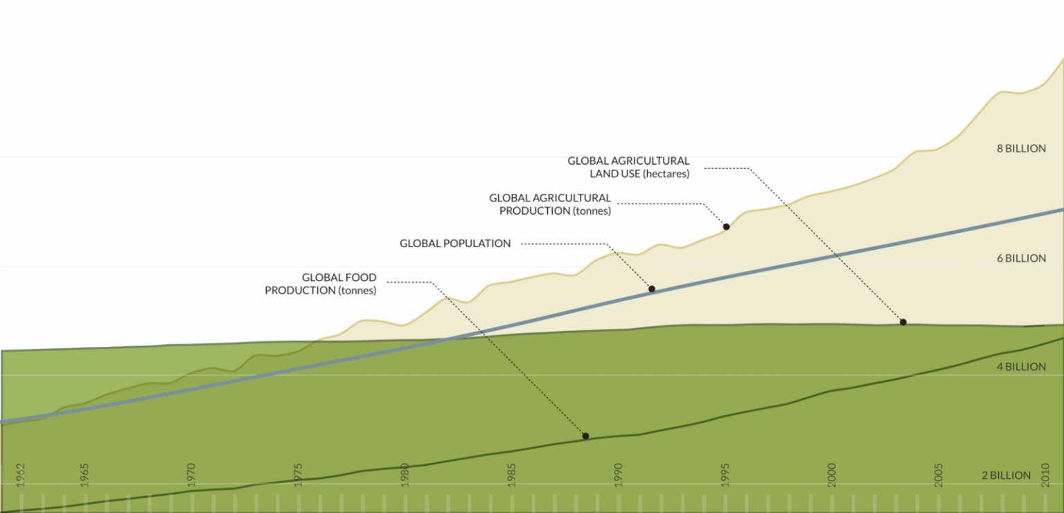 The Global Food System: Trends, impacts, and solutions